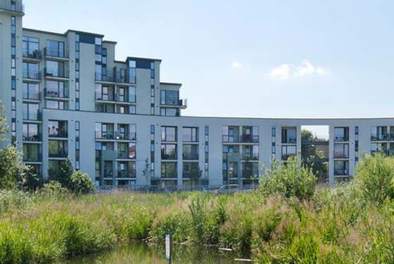 The Woods | Houses, Redevelopment in Mill Hill, NW7 London