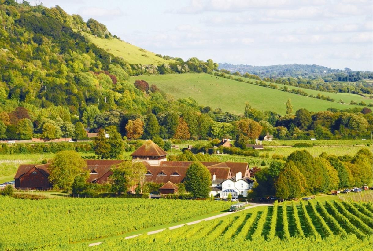 Living In Surrey | Area guide | 1newhomes