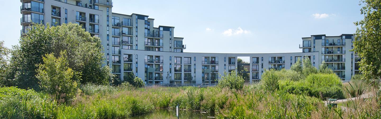 Grahame Park | Houses, Redevelopment, Apartments in Colindale, NW9 London